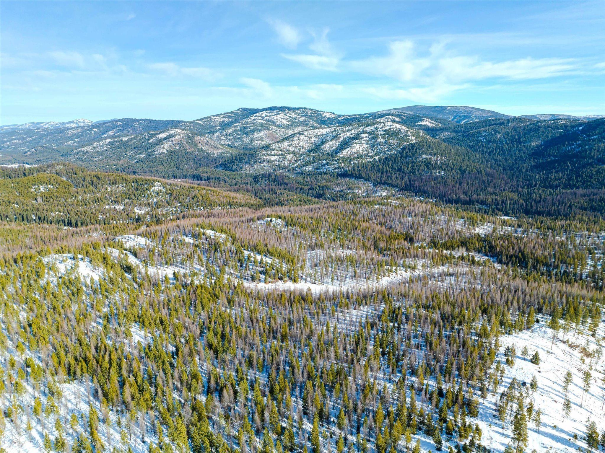 Nhn McGinnis Meadows - Fishtrap Road Section 9, Libby, MT 59923 | MLS ...
