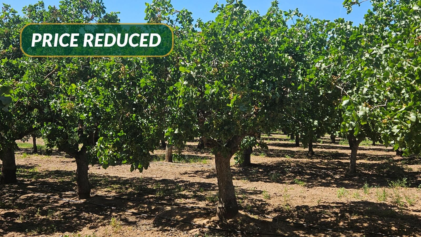 N. side of Ave. 20, E. of Rd. 26, Madera, CA 93638 | Land.com