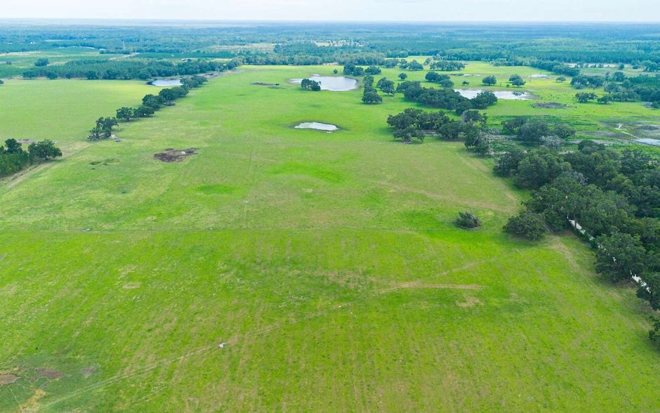 393 SE Buck Jackson Ln, Mayo, FL 32066 | MLS: 124406 | Land.com