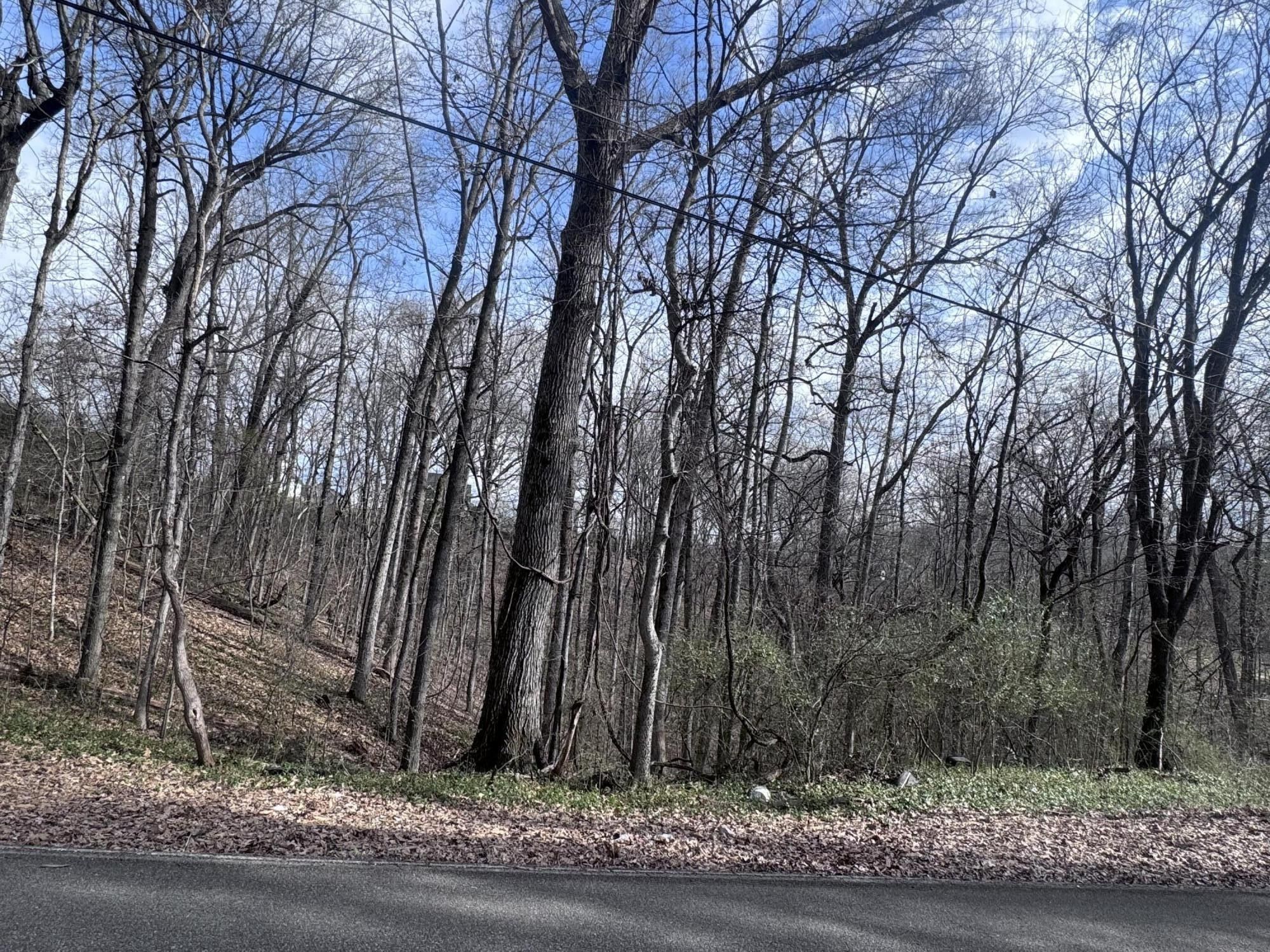 9976 Blue Springs Road, Harrison, TN 37341 | MLS: 1508239 | Land.com