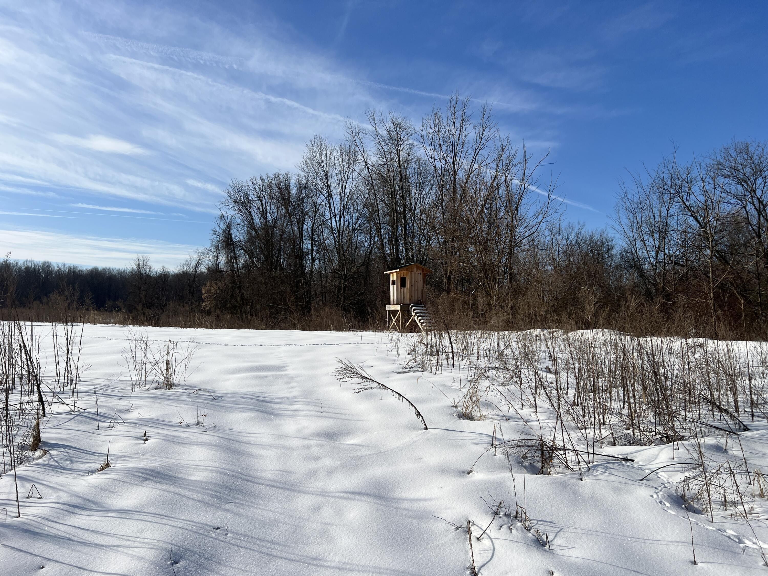 Vl 130th Avenue, Hopkins, MI 49328 | MLS: 25007213 | Land.com