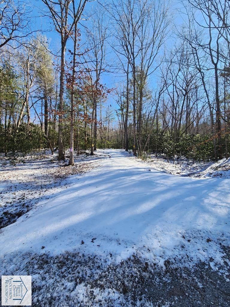 Tbd Long Branch Rd, Claudville, VA 24085 | MLS: 98784 | Land.com