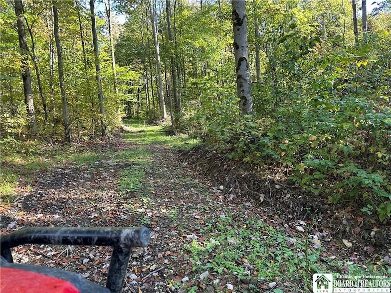 10598 Lebanon Road, Randolph, NY 14772 | MLS: R1567829 | Land.com