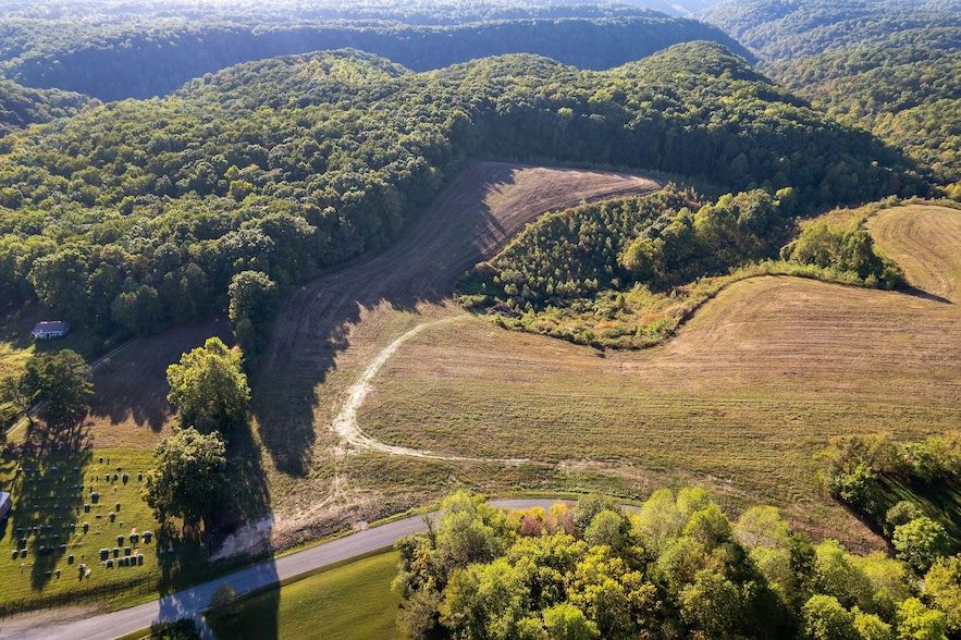 3145 Pea Ridge Road, Liberty, TN 37095 | MLS: RTC2746615 | Land.com
