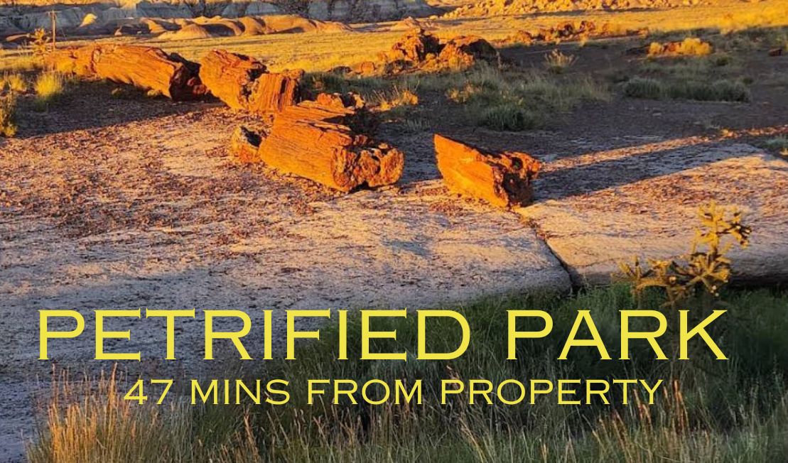 County Road, Concho, AZ 85924 | Land.com