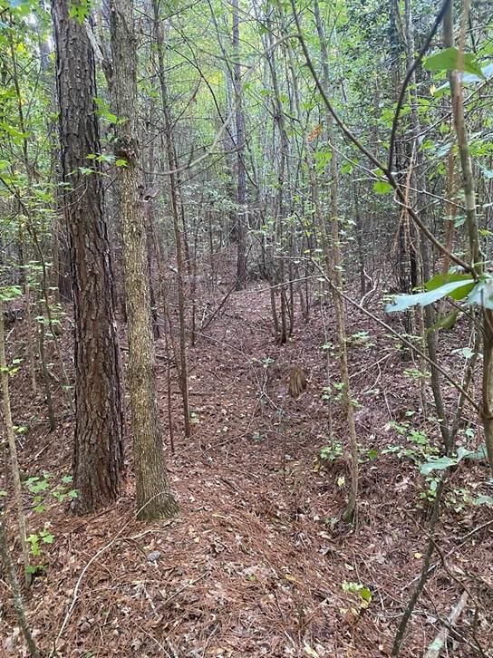 Frontier Rd, Enoree, SC 29335 | Land.com