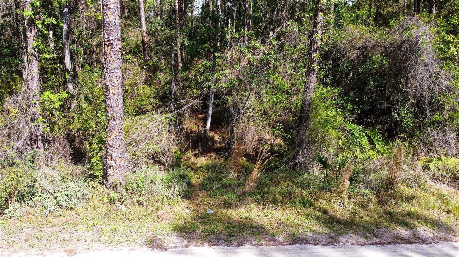 QUAIL RANCH ROAD, New Smyrna Beach, FL 32168 | MLS: G5093411 | Land.com