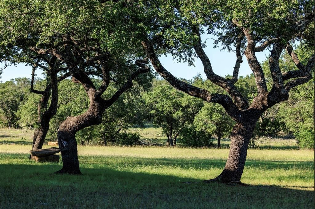 488 Ranch Road 1323, Johnson City, TX 78636 | MLS: 9889135 | Land.com