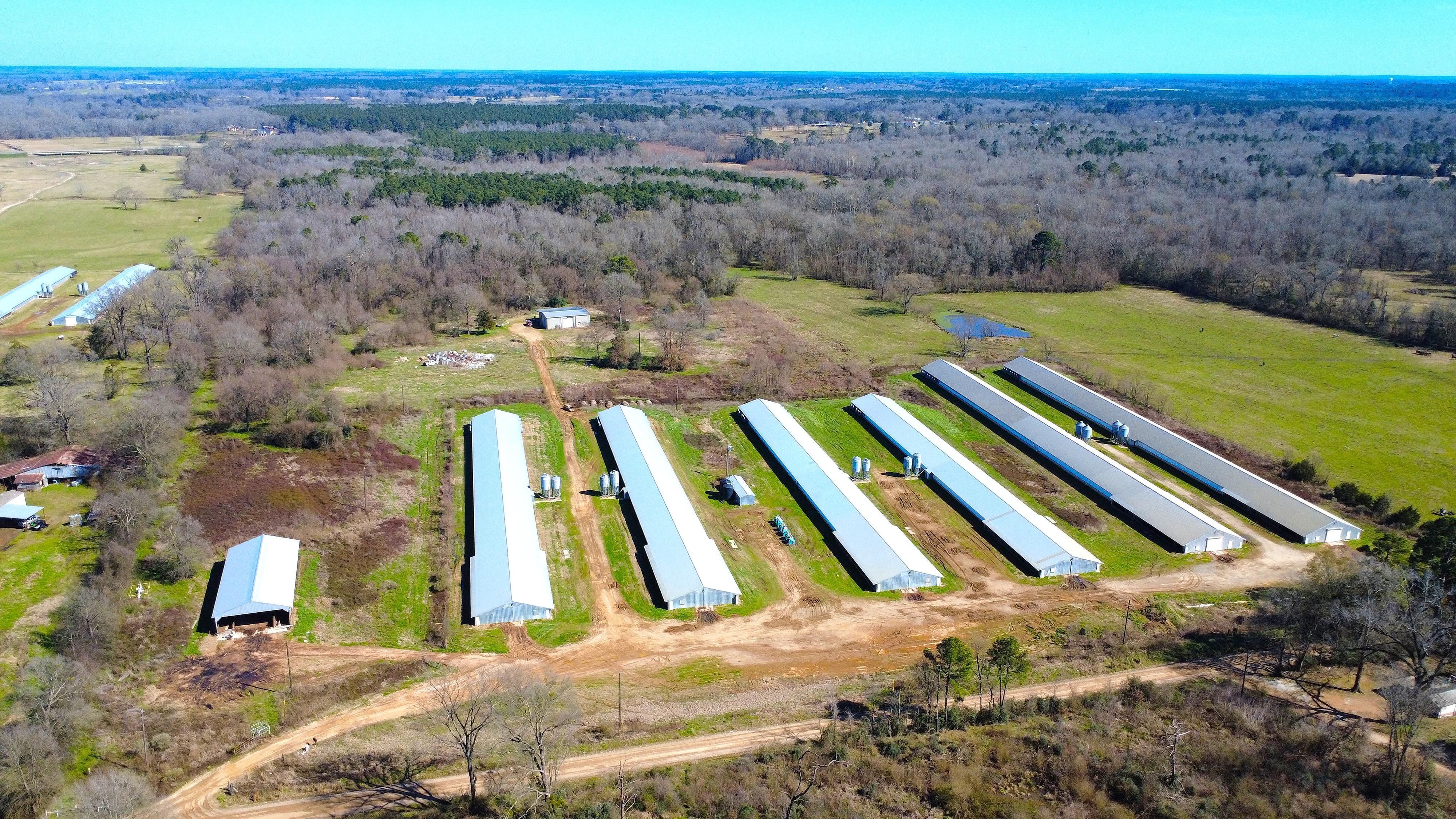 2550 County Road 4293, Tenaha, TX 75974 | MLS: LF22500287A | Land.com