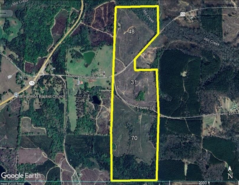 5000 County Road 53, Banks, AL 36005 | MLS: 25649 | Land.com