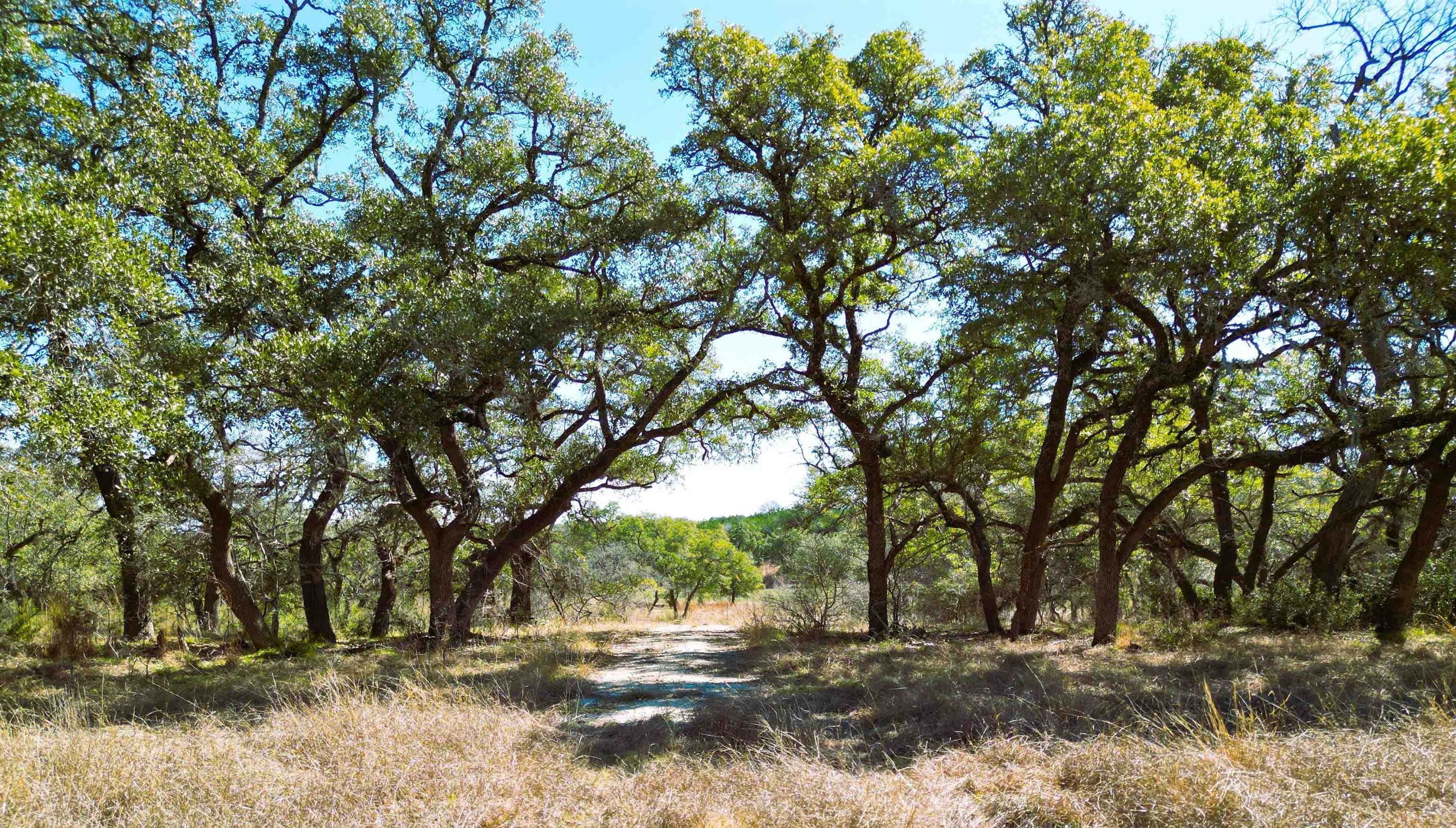 1090 Wilson Ranch Rd, Round Mountain, TX 78663 | MLS: 172185 | Land.com