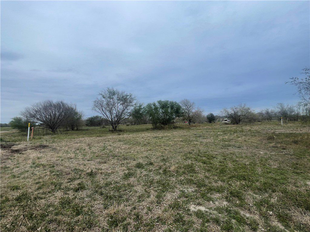 8745 County Road 2411, Sinton, TX 78387 | MLS: 455402 | Land.com