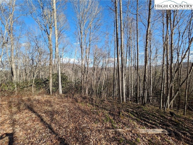 Tbd Courtney Lane, Vilas, NC 28692 | MLS: 249007 | Land.com