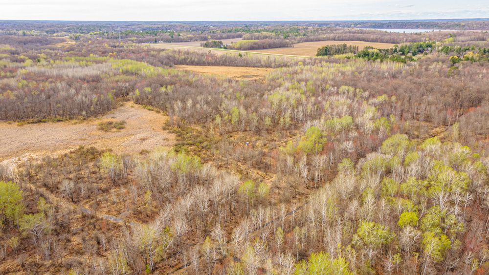 32619 40th Avenue, Cushing, MN 56443 | MLS: Morrison 125 | Land.com