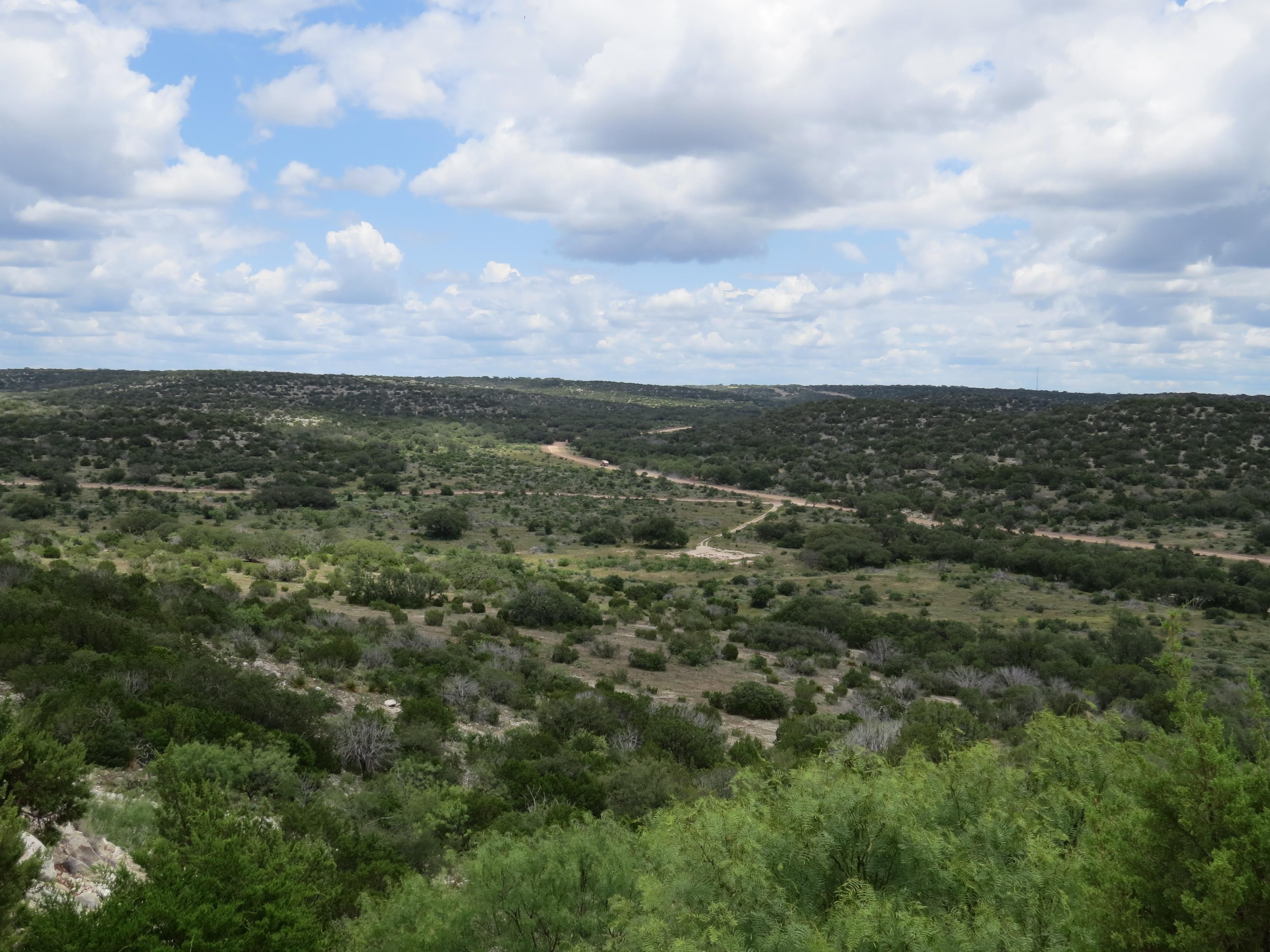 County Road 450, Rocksprings, TX 78880 | MLS: NHRN 47 | Land.com