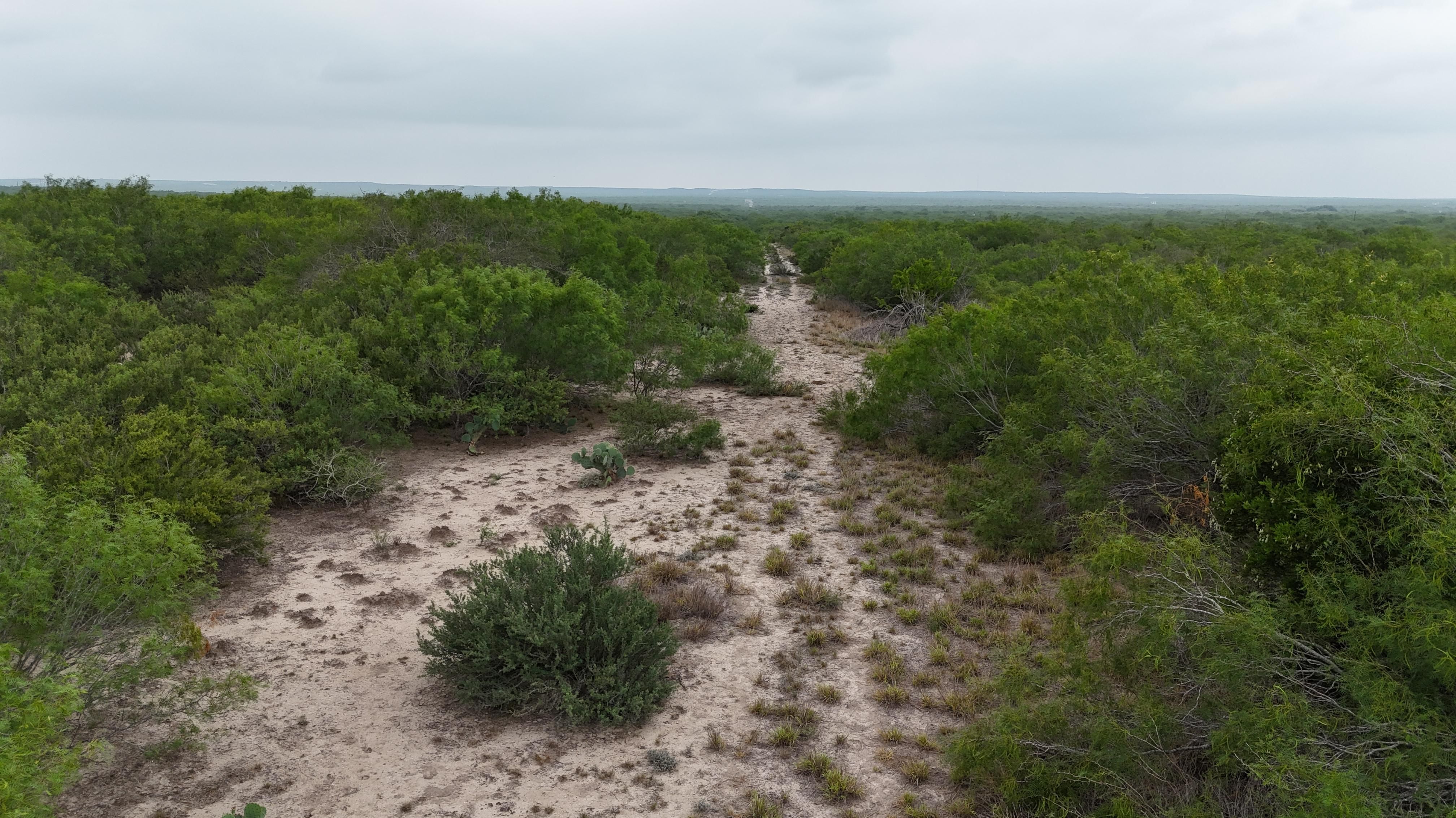 14.54 acres in Freer, TX, 78357 | Land.com