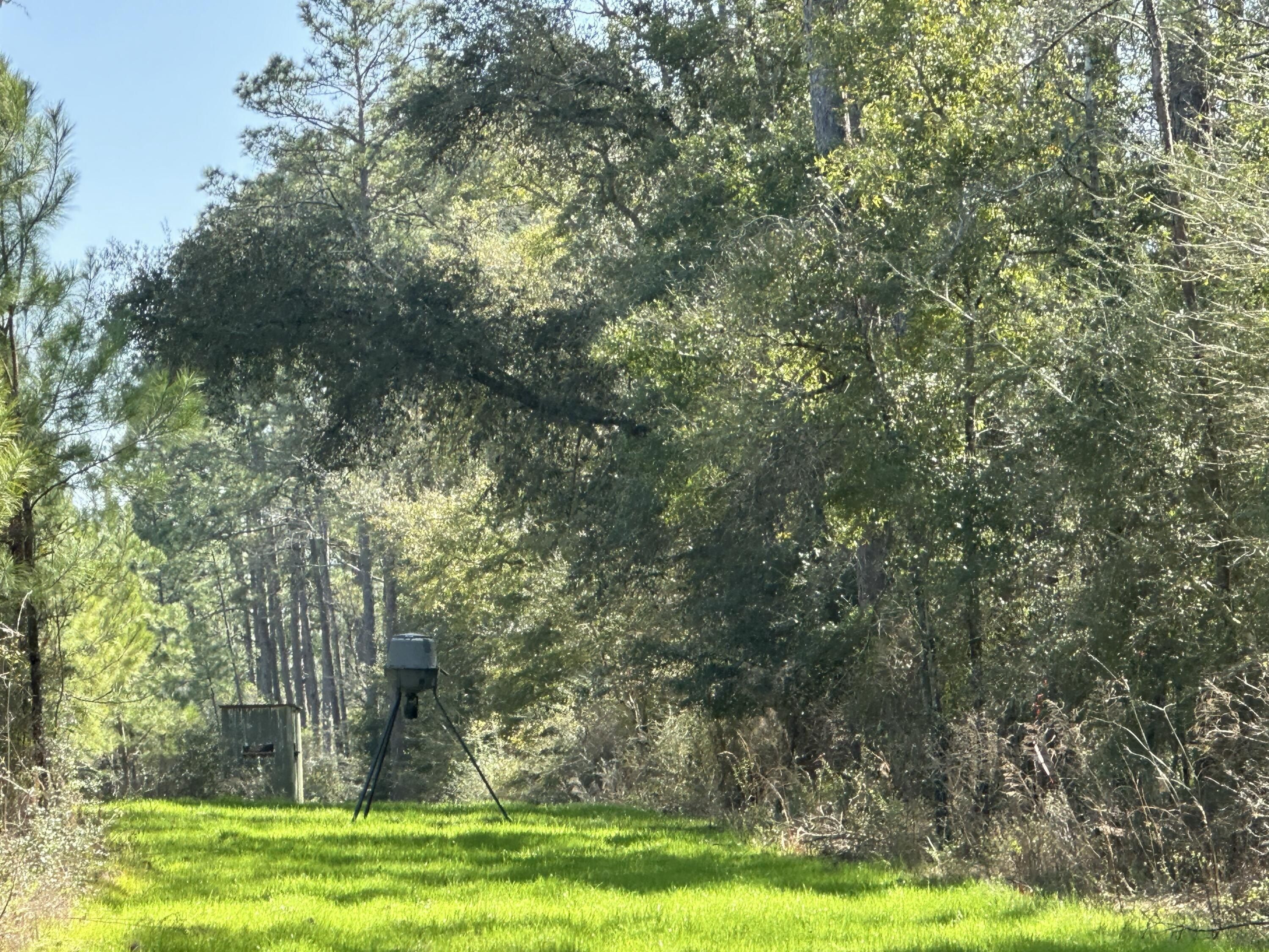 Tract#6416 S Douglas Ferry Road, Caryville, FL 32427 | MLS: 970385 ...