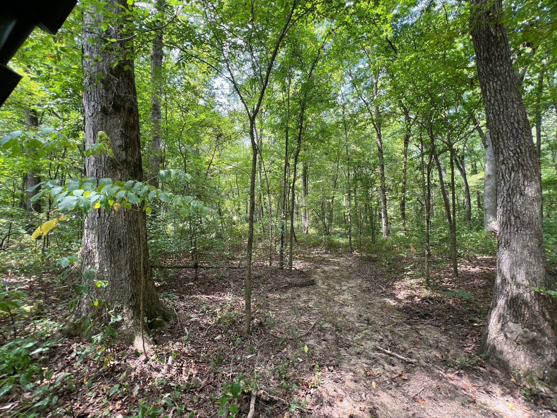 00 CR 14, Waterloo, AL 35677 | Land.com