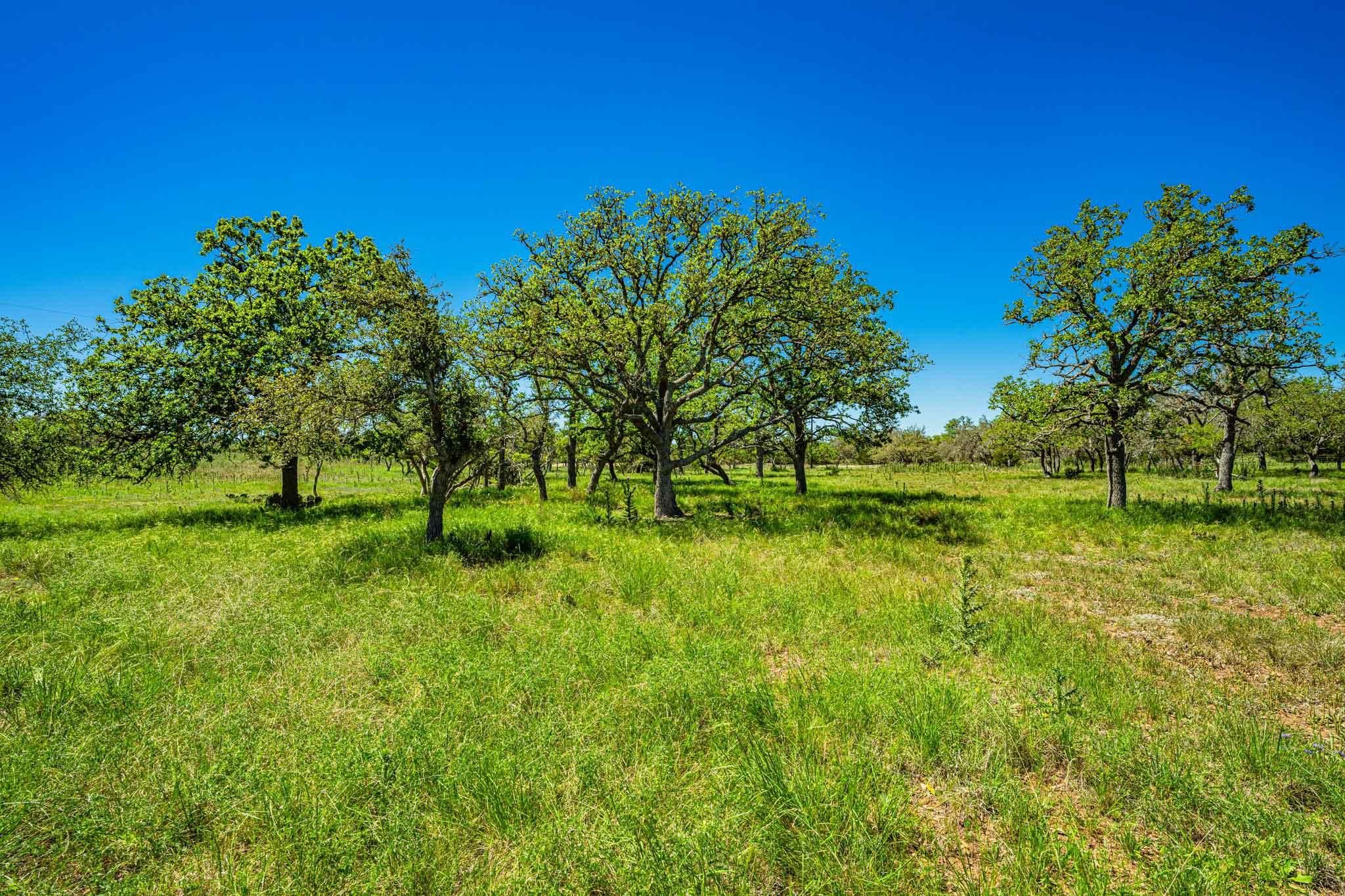 2205 Farm to market 479, Harper, TX 78631 | Land.com