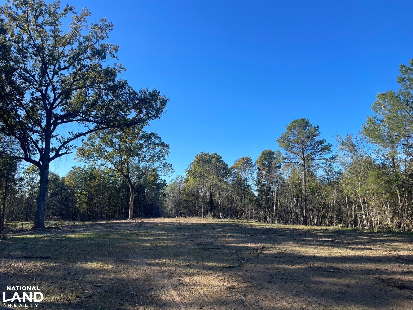 0 Frog Ridge Road, Ralph, AL 35446 | Land.com