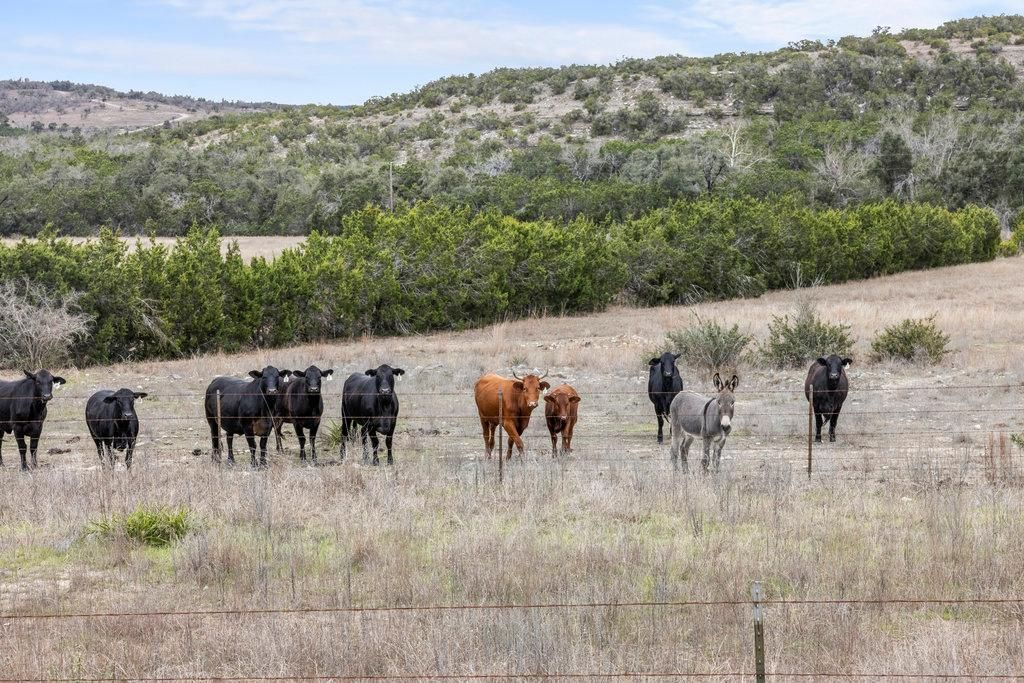 Ranch Road 165, Dripping Springs, TX 78620 | MLS: Austin MLS #1437563 ...