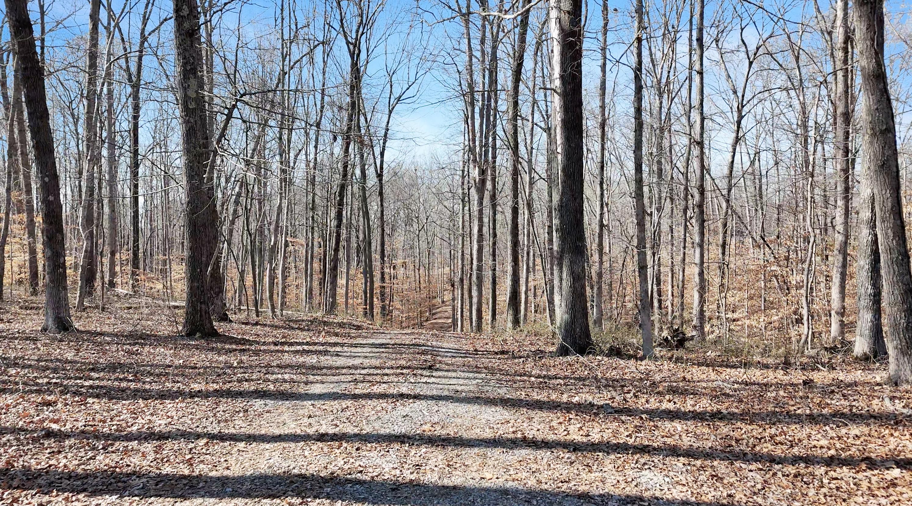 5662 Pinewood Road, Franklin, TN 37064 | MLS: 2772505 | Land.com
