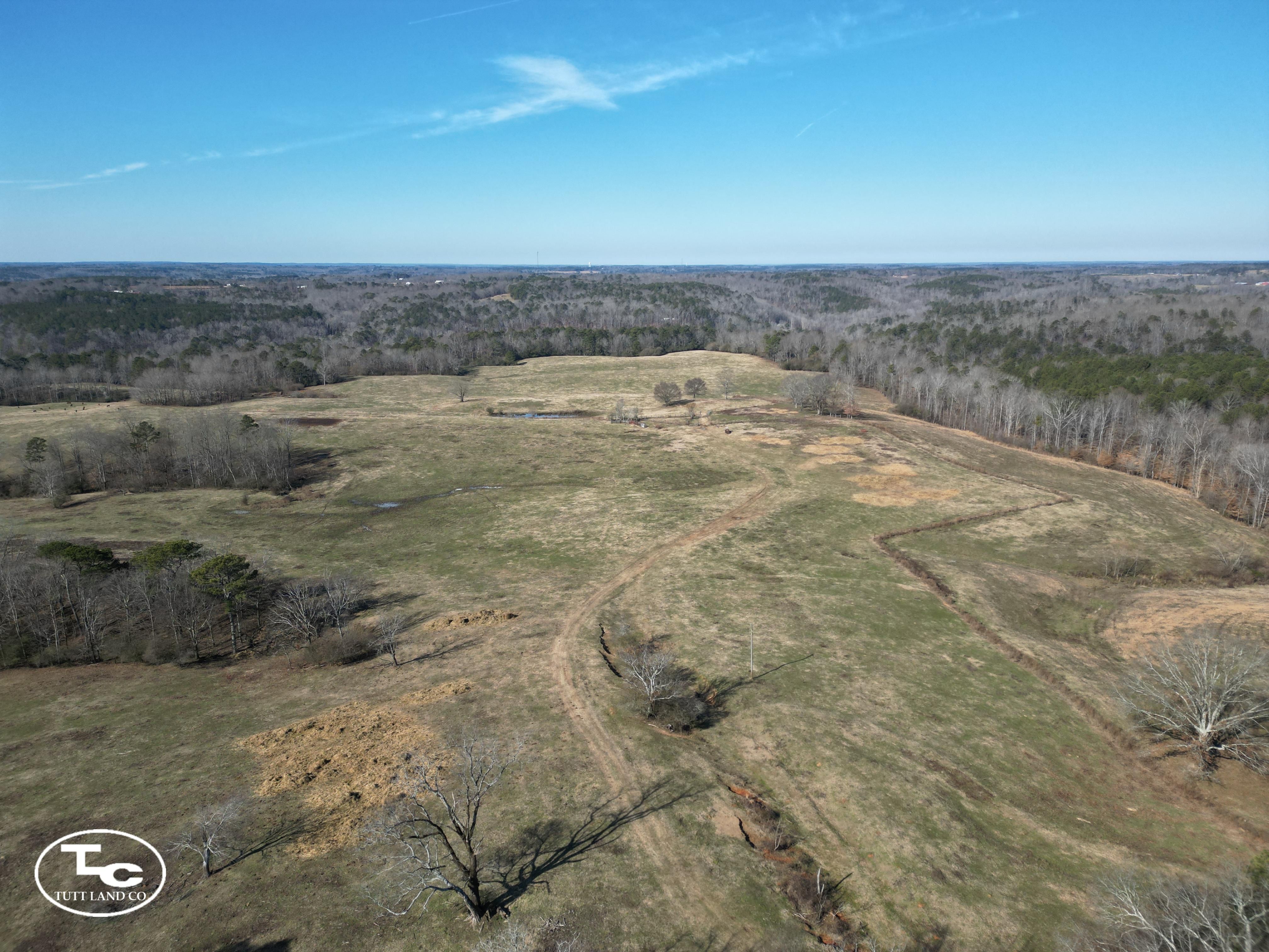 0 County Road 4000, Logan, AL 35098 | Land.com