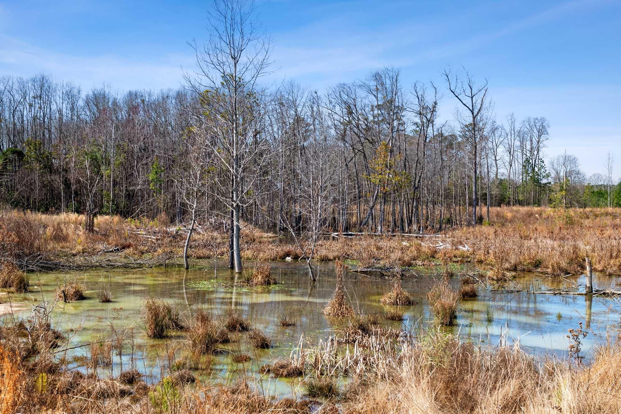 Westvaco Road, Eastover, SC 29044 | Land.com