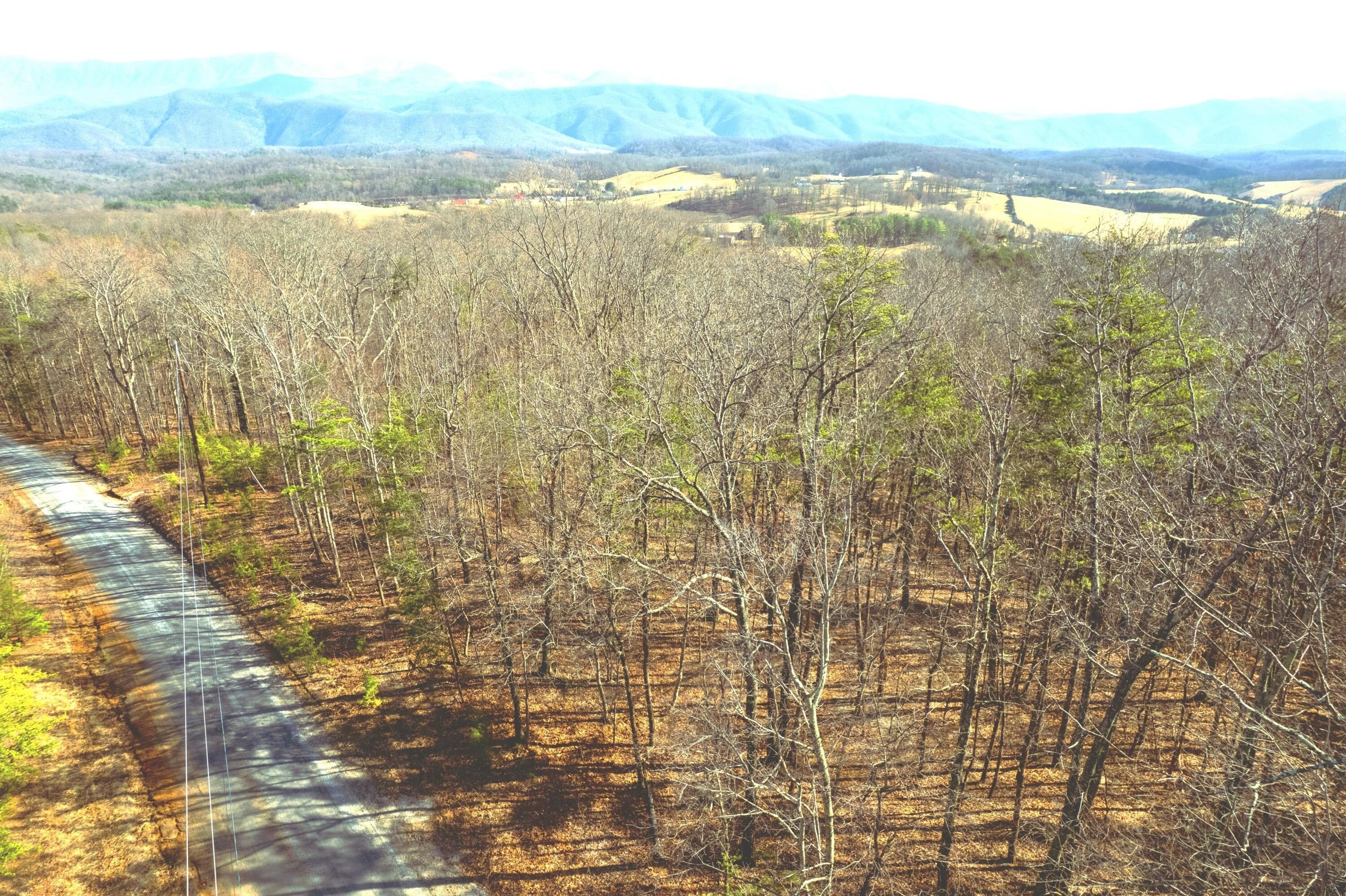 Short Hill Dr, Buchanan, VA 24066 | MLS: 139102 | Land.com