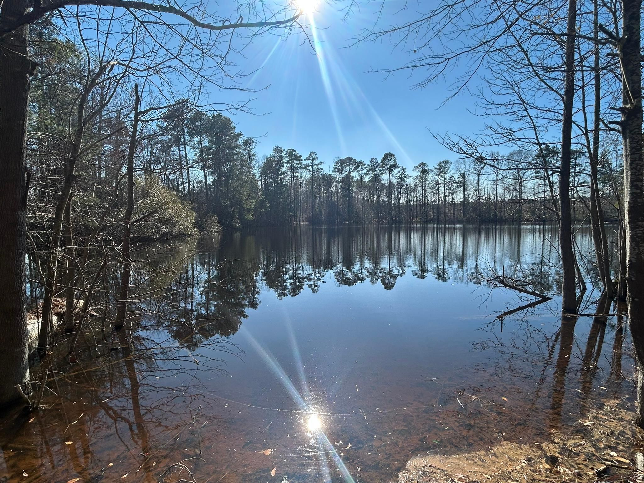 Fuller Road, Mauk, GA 31058 | Land.com