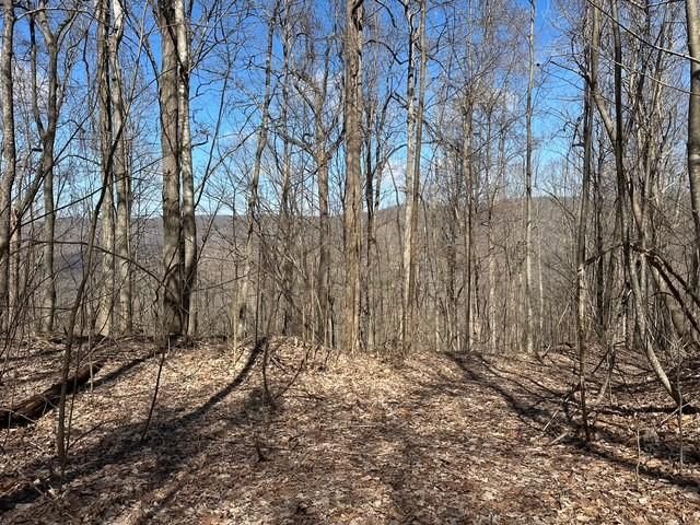 176+/-acres Tennessee 108, Morrison, TN 37357 | MLS: 1508817 | Land.com