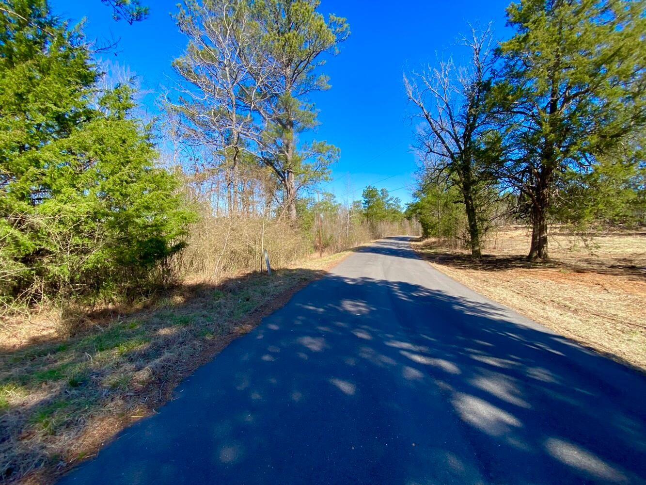 Adams Road, Bankston, AL 35542 | Land.com