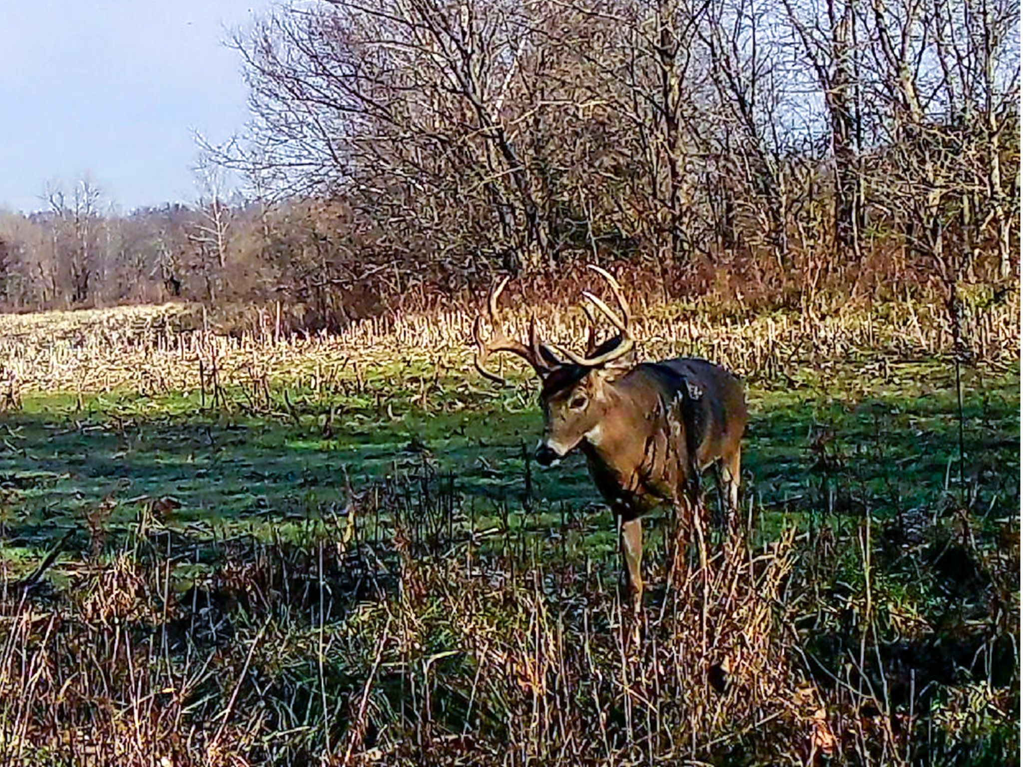 County Highway 7, Lot #WP001, Geff, IL 62842 | Land.com