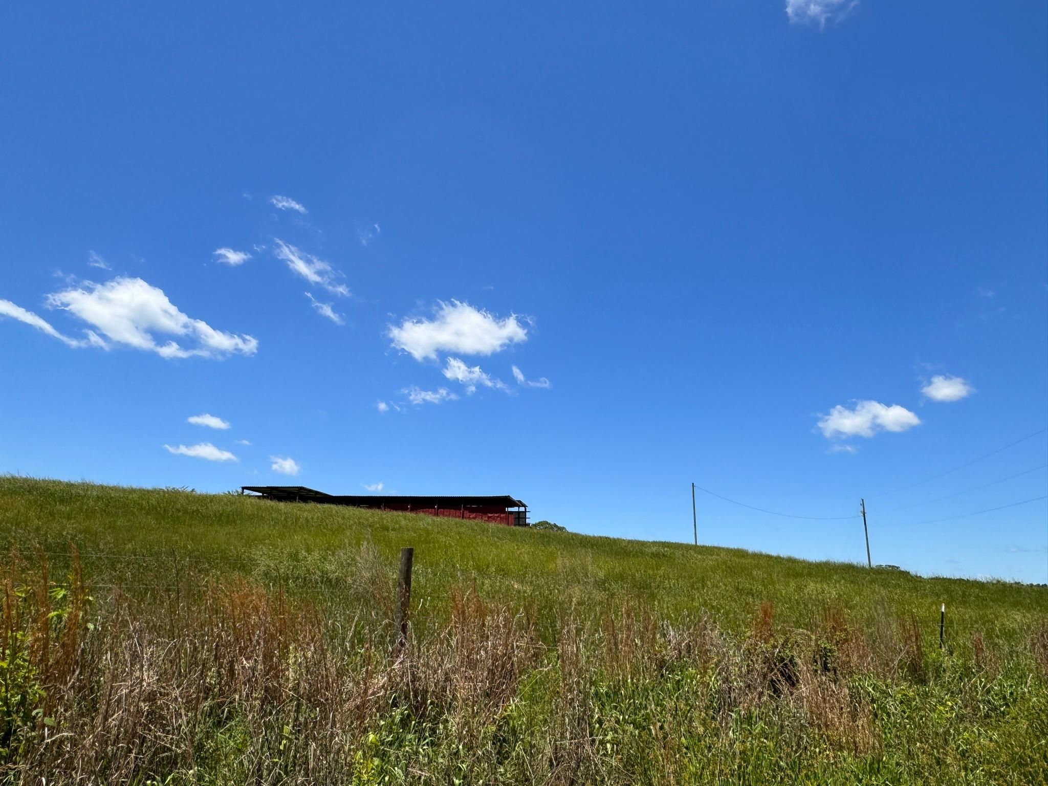 County Road 10, Winfield, AL 35594 | Land.com