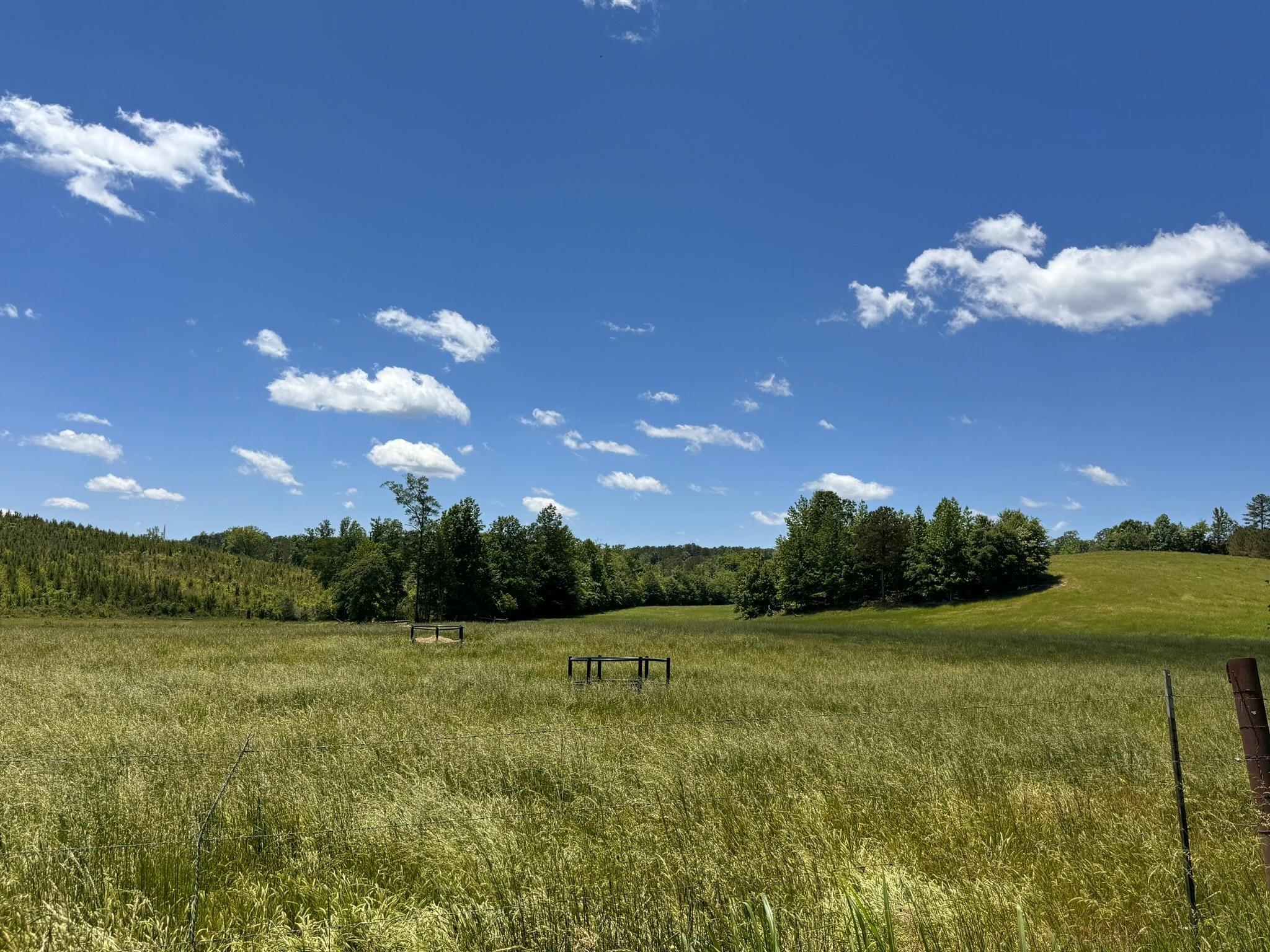 County Road 10, Winfield, AL 35594 | Land.com