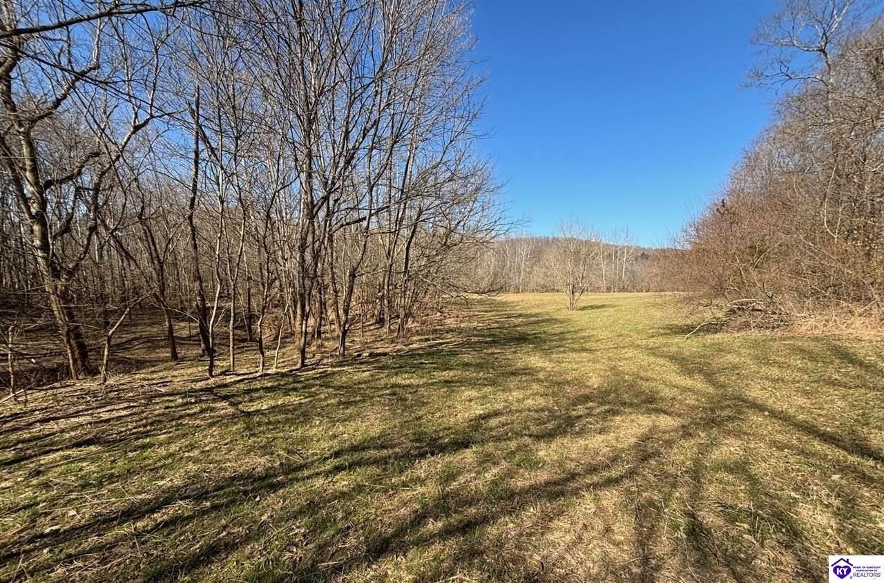 1087 Basham Allen Lane, Harned, KY 40144 | MLS: HK25000884 | Land.com