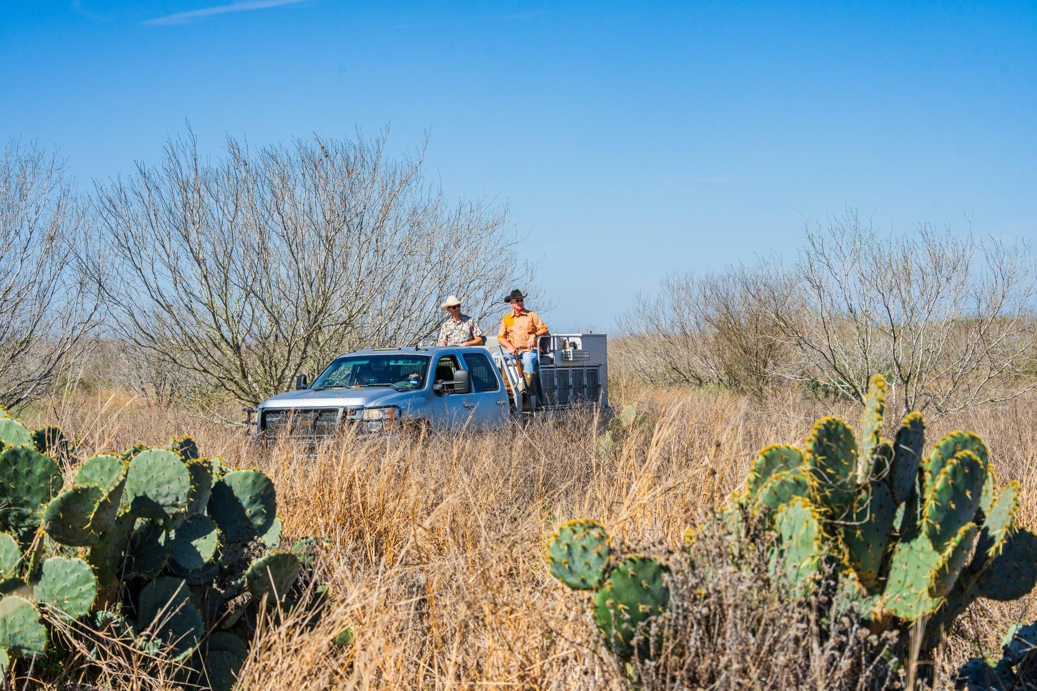 1,177 acres in Concepcion, TX, 78349 | Land.com