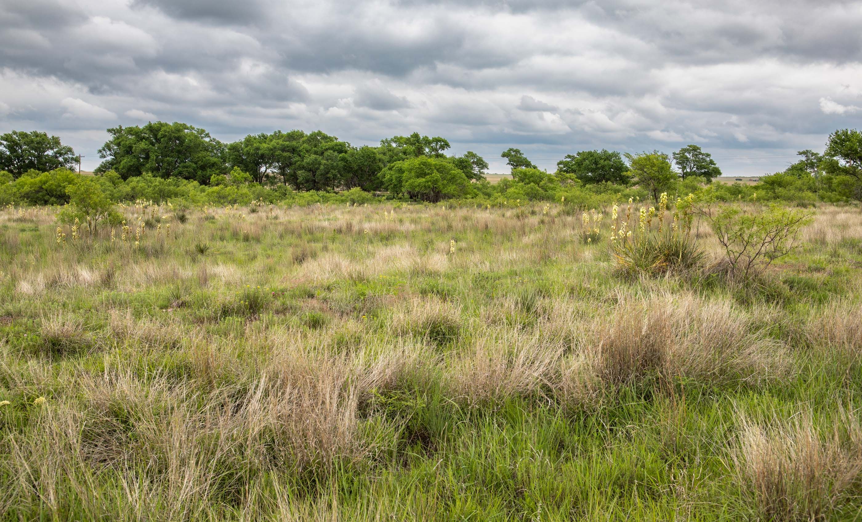 Donley County, Howardwick, TX 79226 | Land.com