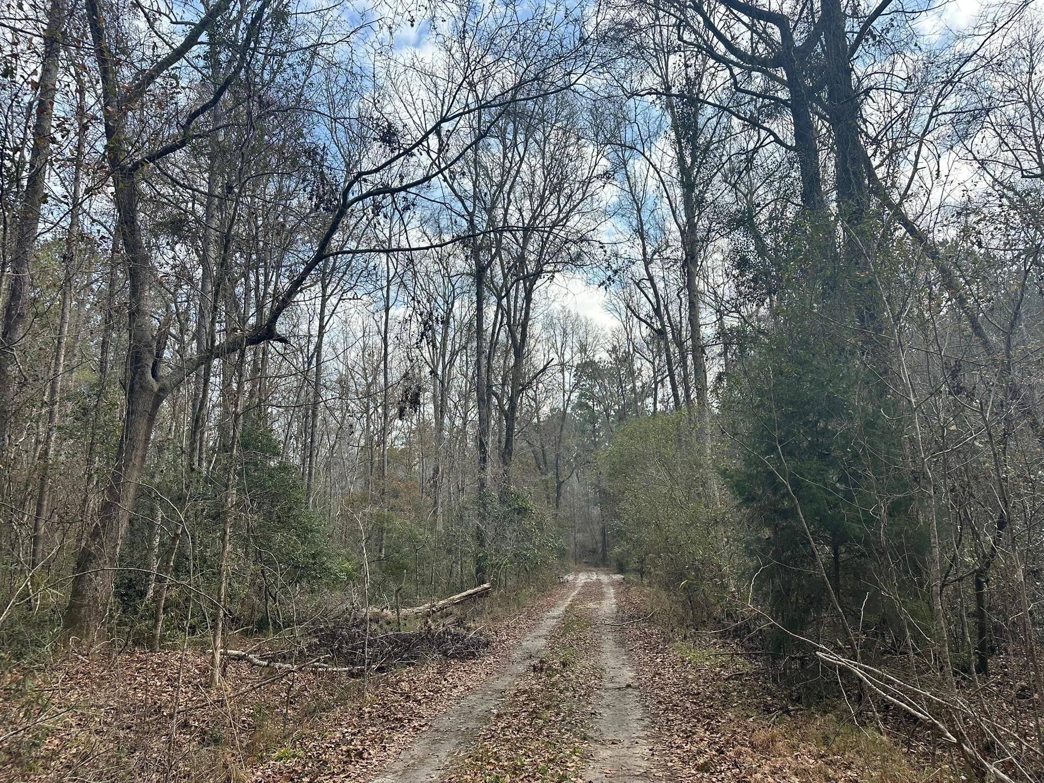 736 acres in Ehrhardt, SC, 29081 | Land.com