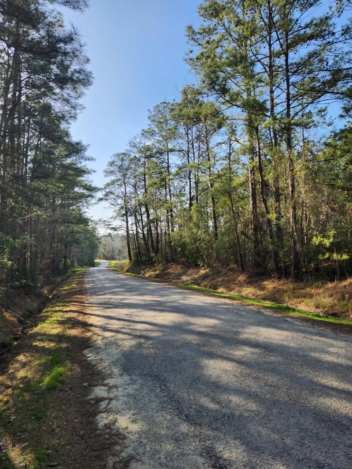 Counts Road, Point Blank, TX 77364 | Land.com