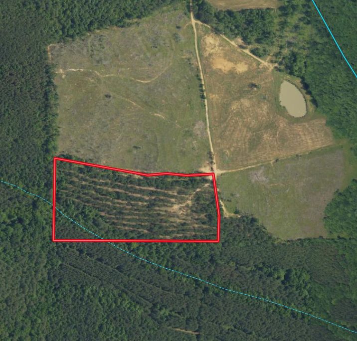 County Road 10, Winfield, AL 35594 | Land.com