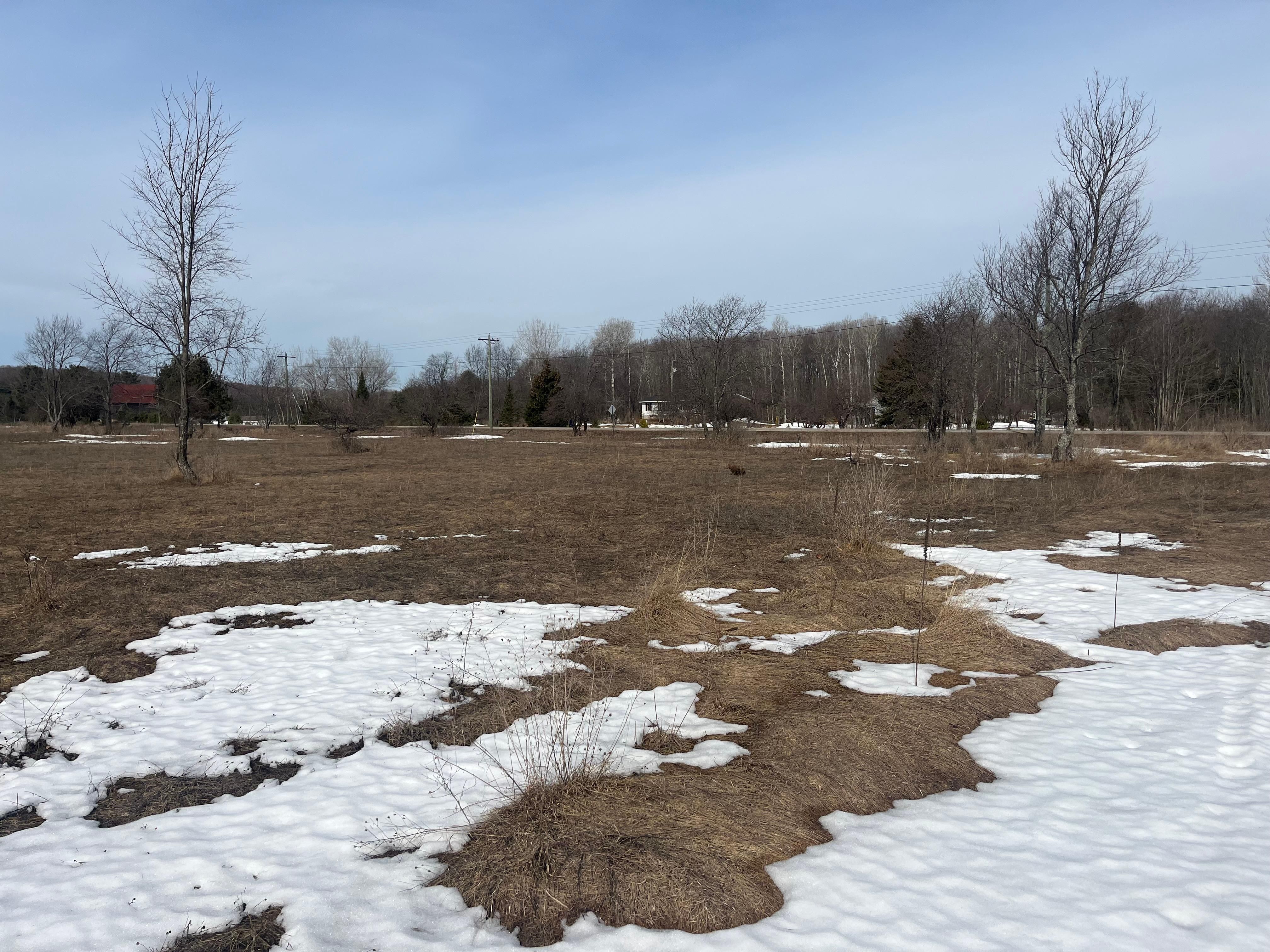 981 W Van Rd, Pellston, MI 49769 | Land.com