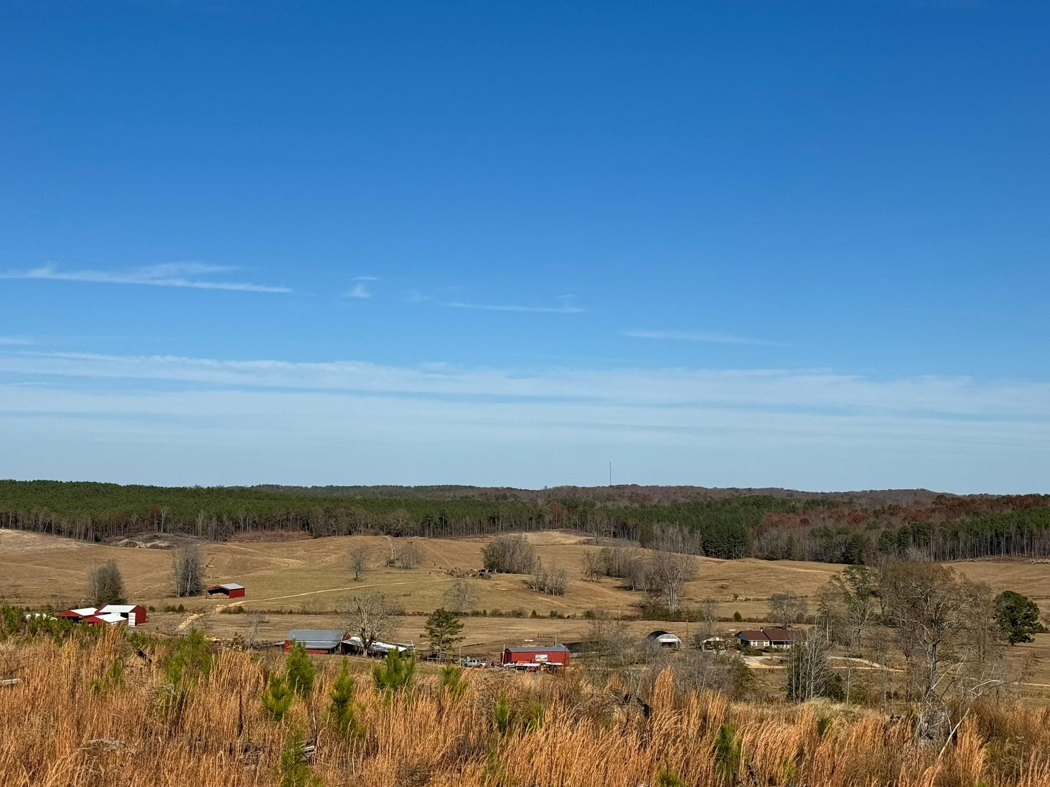 County Road 10, Winfield, AL 35594 | Land.com