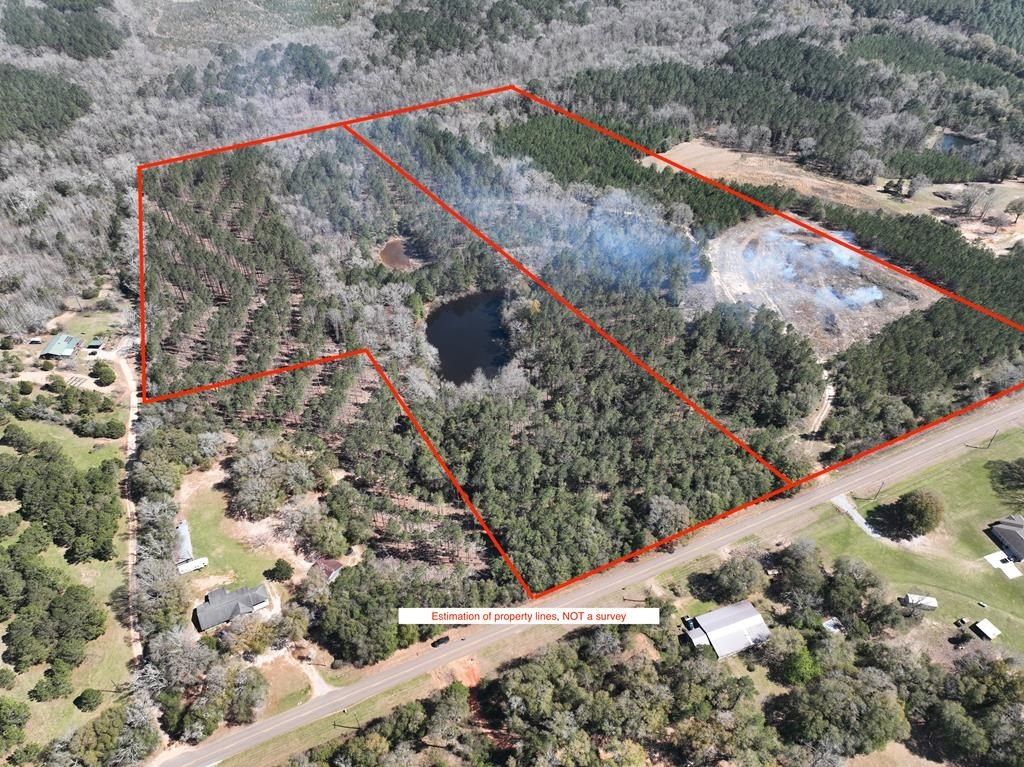 0 Highway 69, Skipperville, AL 36374 | MLS: 202781 | Land.com