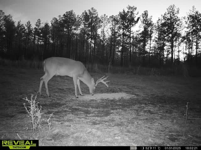 1545 Berrytown Circle, Meadville, MS 39653 | Land.com