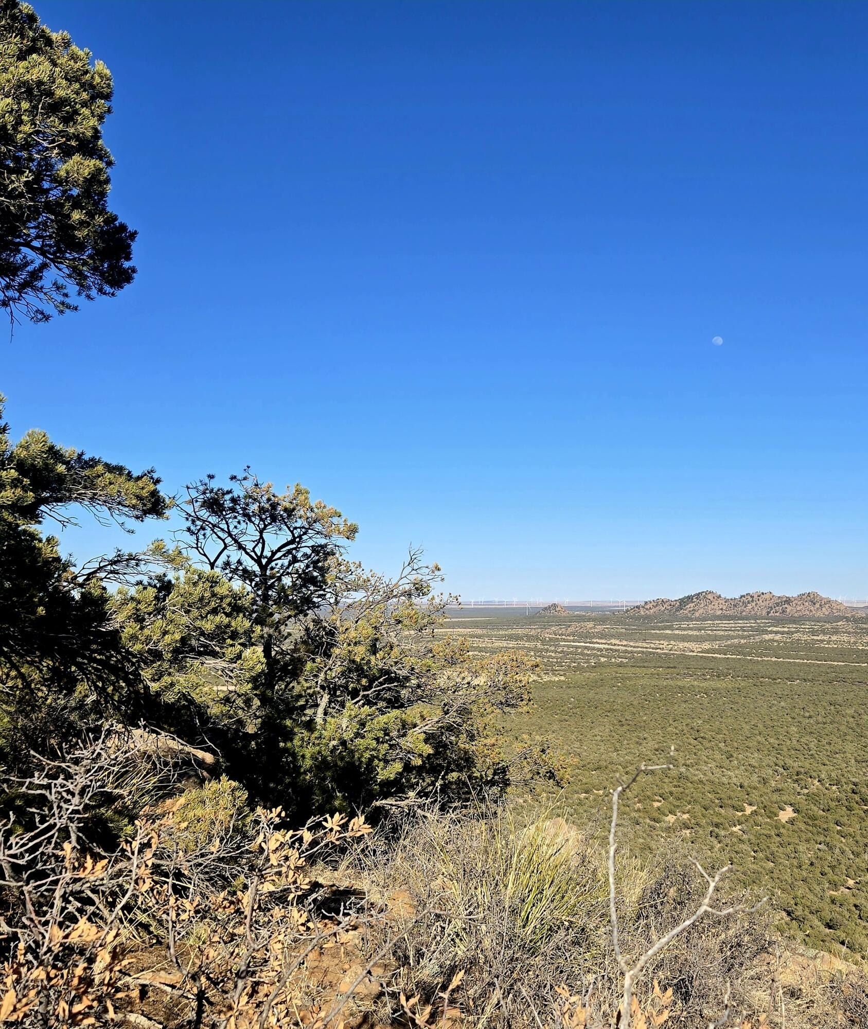 Lot 6 Crow Bait Trail, Corona, NM 88318 | MLS: 1079783 | Land.com