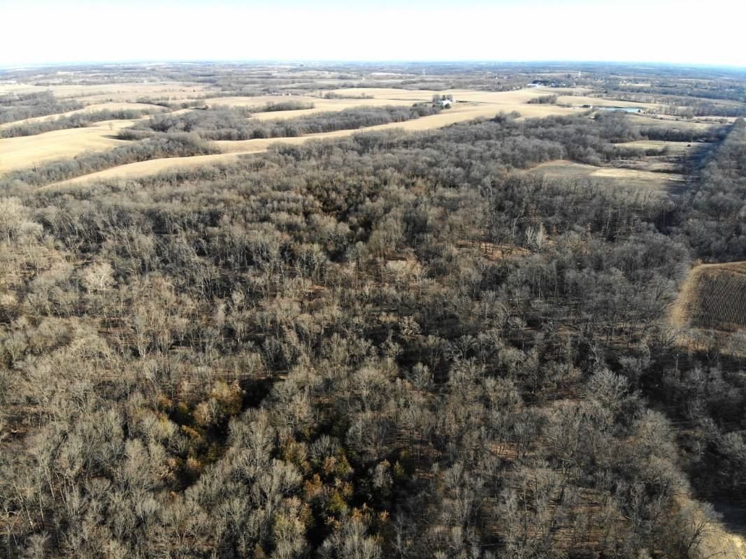 000 N. 1st Ave., Baylis, IL 62314 | MLS: 11451024 | Land.com