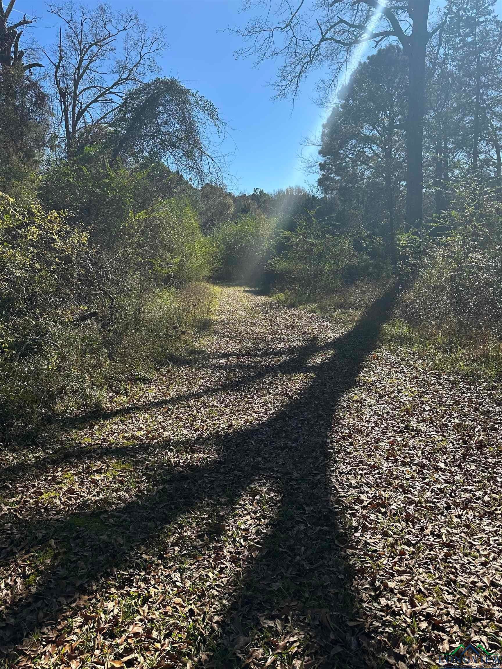 1189 FM 451, Elysian Fields, TX 75642 | MLS: 20247591 | Land.com