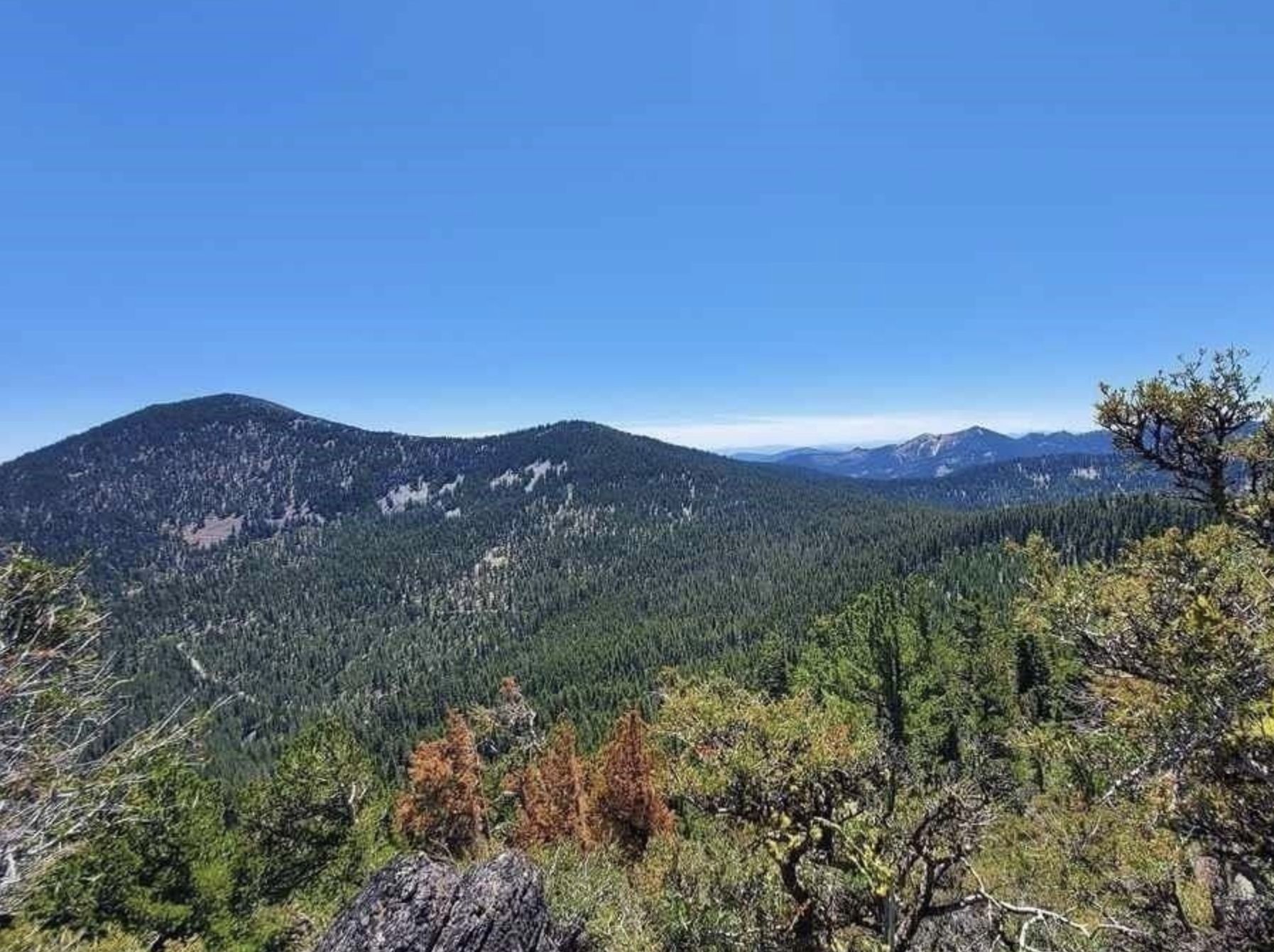 41 acres in Macdoel, CA, 96058 | Land.com