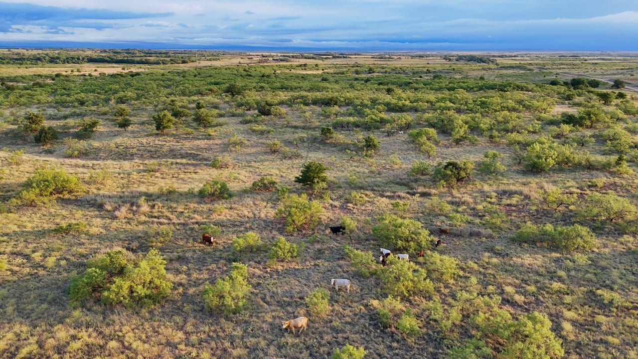 Reed, OK, Reed, OK 73554 | Land.com